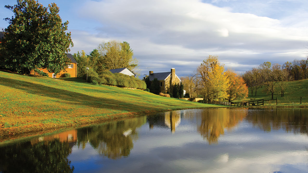 Donor Stories - Classical KING